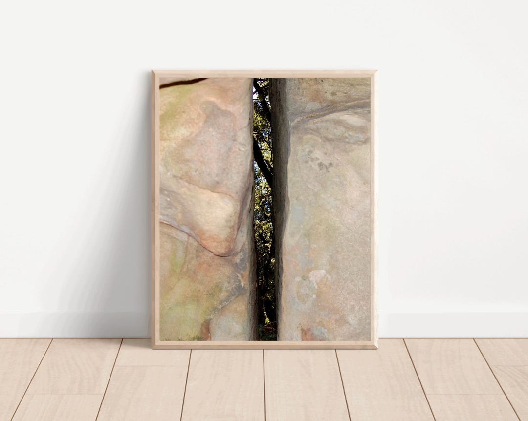Split Boulder, Castle Rock State Park, Redwoods, Forest, Redwood Trees ...