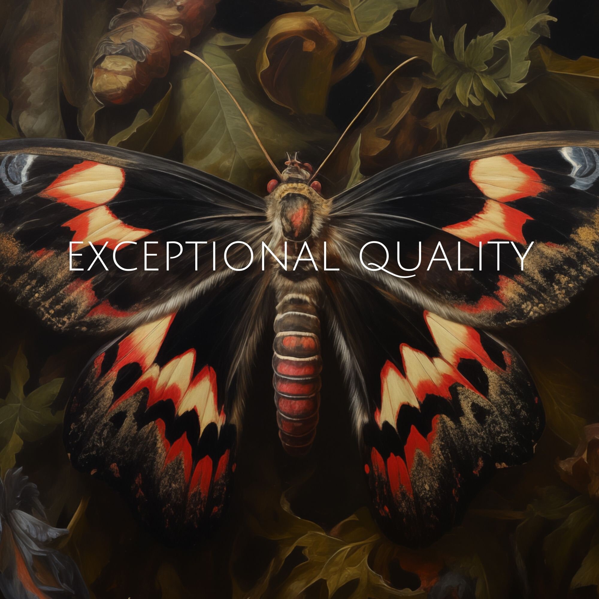 Goblincore Moth and Slug Print Dark Cottagecore Moth Printable Dark ...