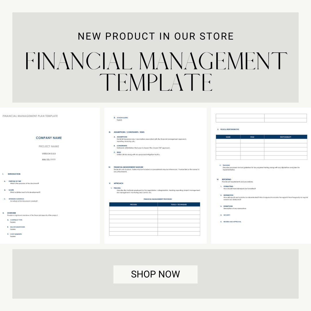 Financial Management Plan Template | Digital Budget Planner PDF & Word ...