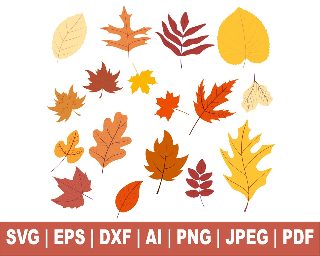 Fall Leaves Svg Bundle, Maple Leaves Svg, Autumn Svg, Tropical Leaf Svg ...