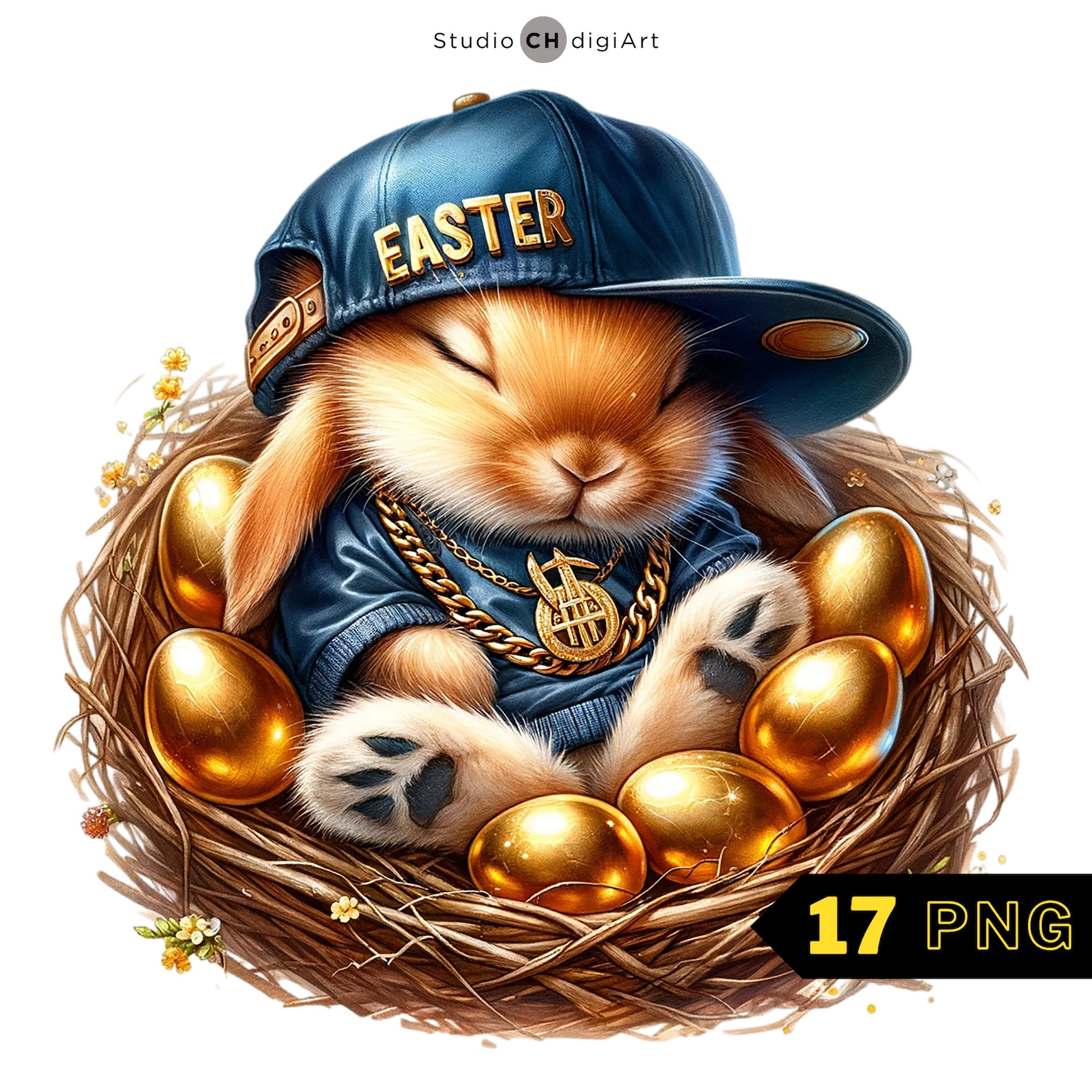 Hip Hop Bunny Easter Clipart , 17 PNG High Quality,hip Hop PNG, Bunny ...