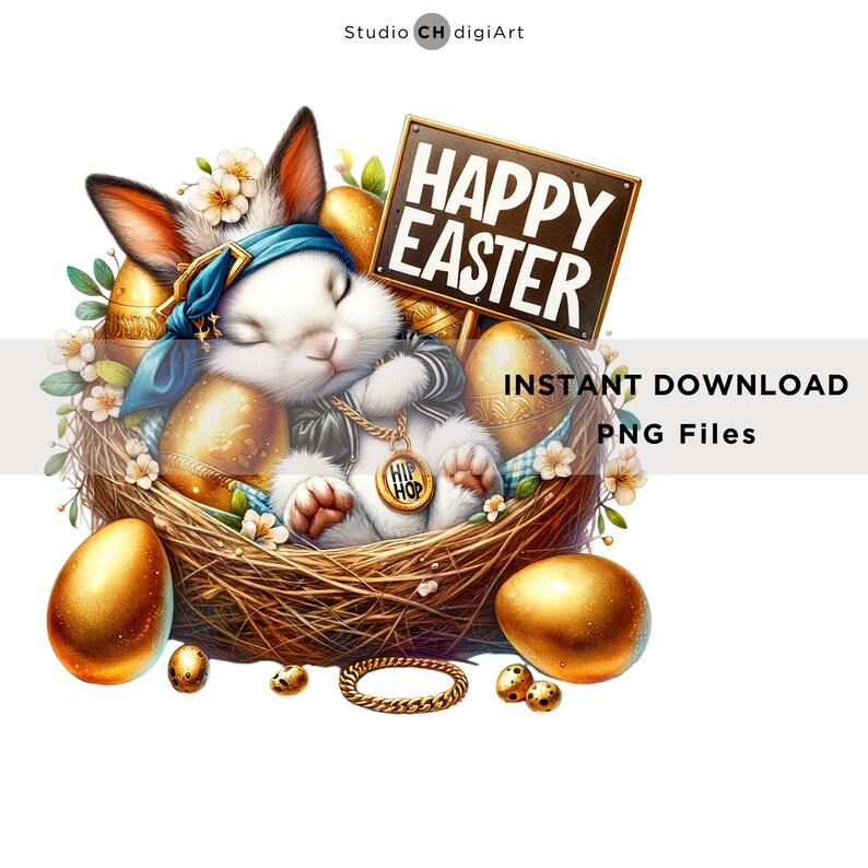 Hip Hop Bunny Easter Clipart , 17 PNG High Quality,hip Hop PNG, Bunny ...