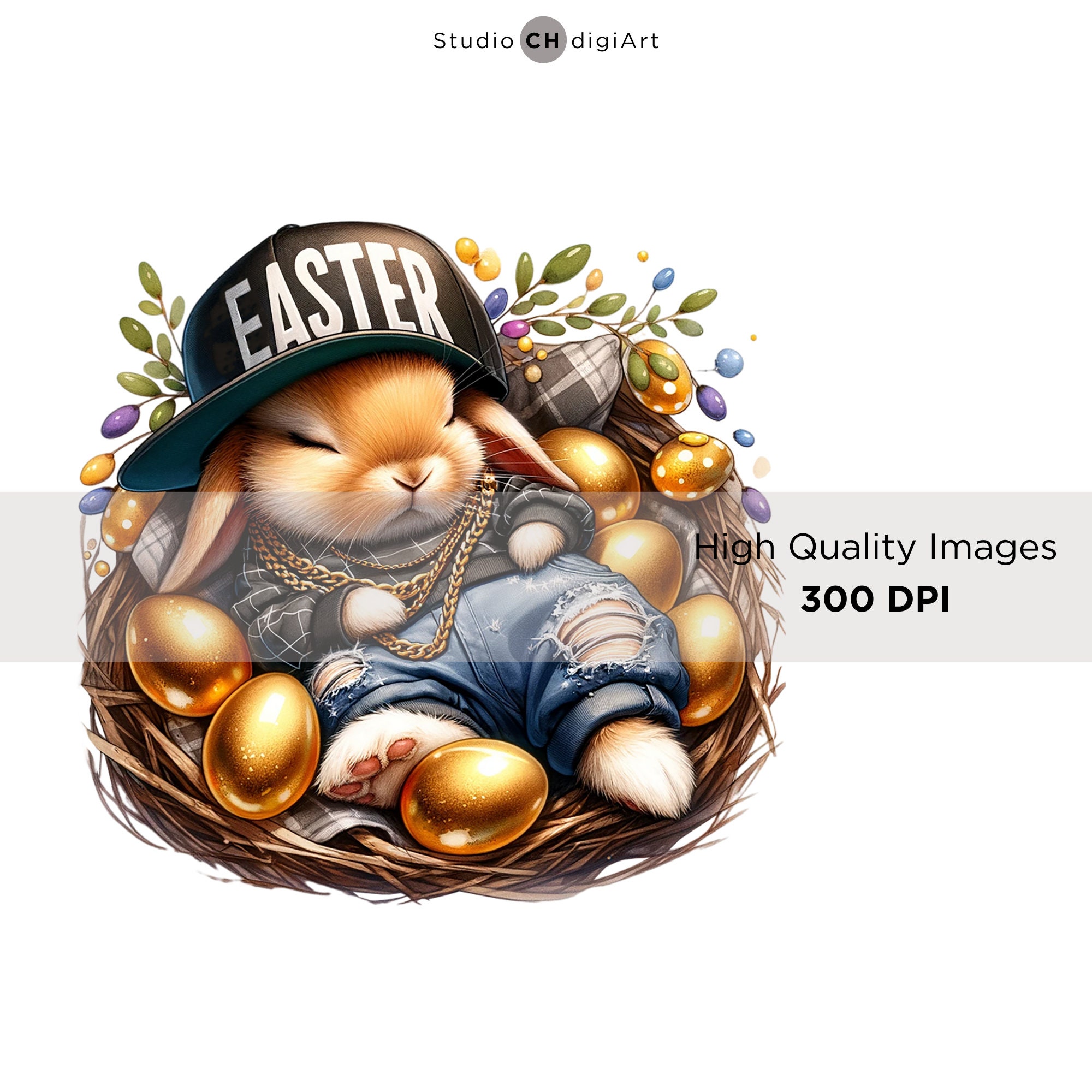 Hip Hop Bunny Easter Clipart , 17 PNG High Quality,hip Hop PNG, Bunny ...