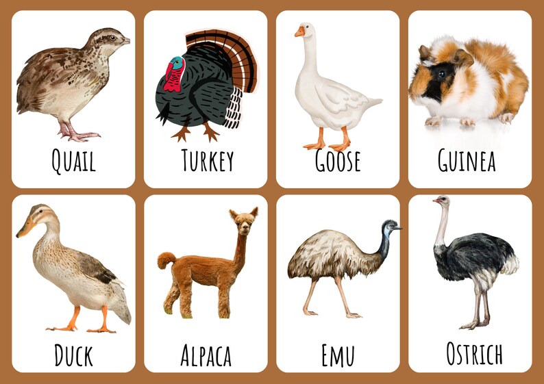 Printable Farm Animal Flash Cards Set of 32 Educational Learning Cards ...