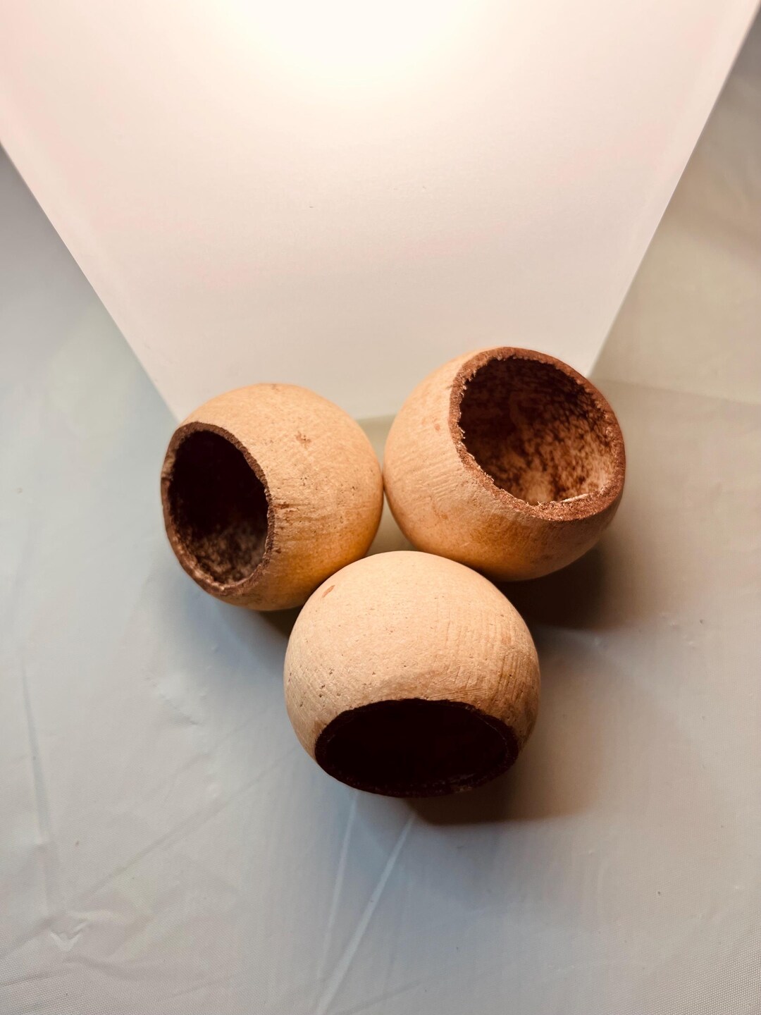 3 Pack Bael Tree Pod - Natural Aquarium Safe Botanical - Etsy
