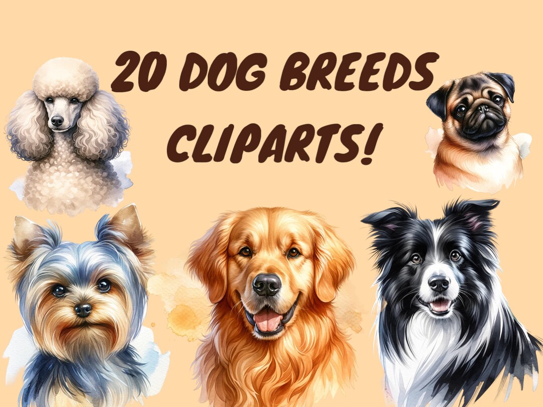 Different Dog Breeds CLIPART Pack, 20 High-quality Watercolour ...