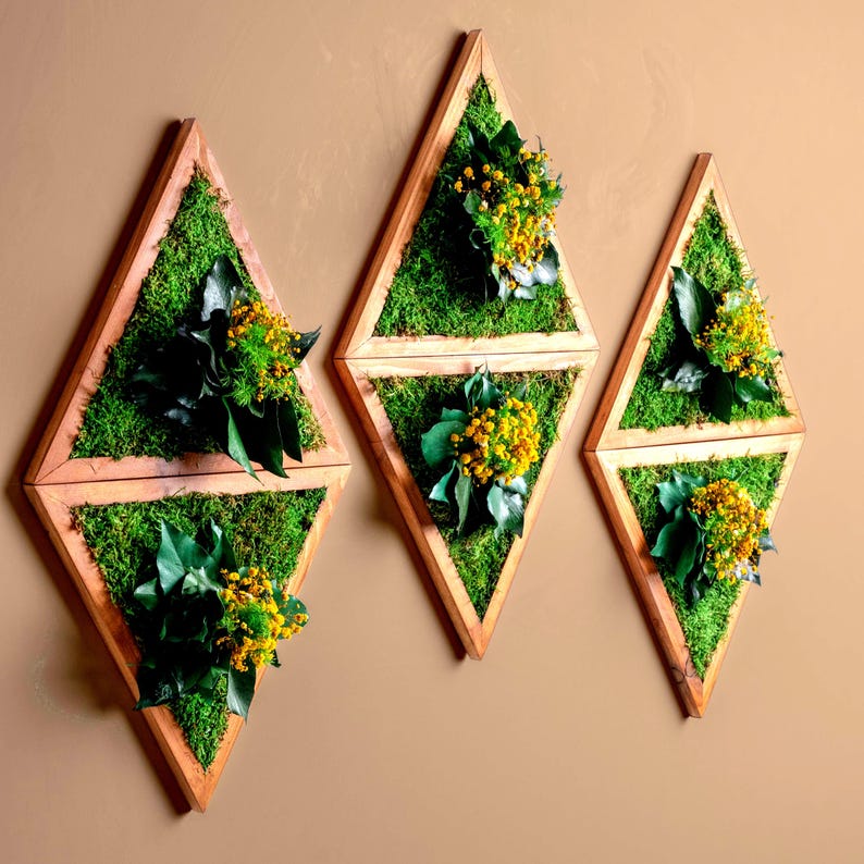 Triangle Preserved Moss Wall Decor: Geometric Boho Plant Art - Etsy