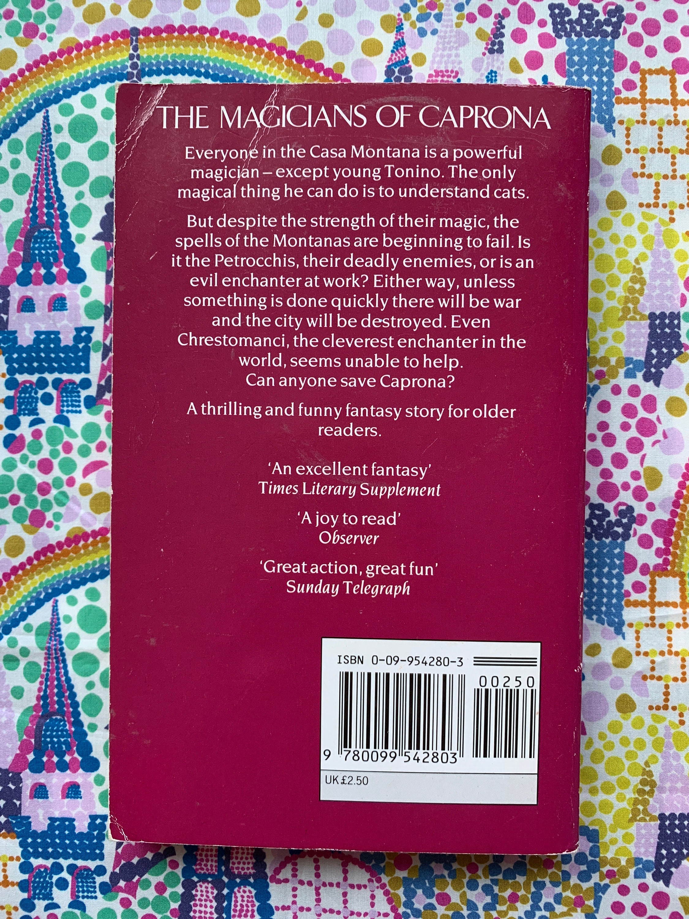 The Magicians of Caprona by Diana Wynne Jones - Etsy