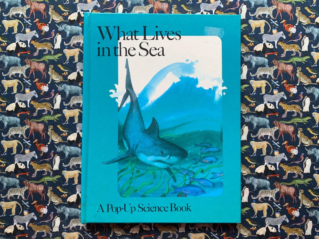 What Lives in the Sea - Pop-up Book - Etsy