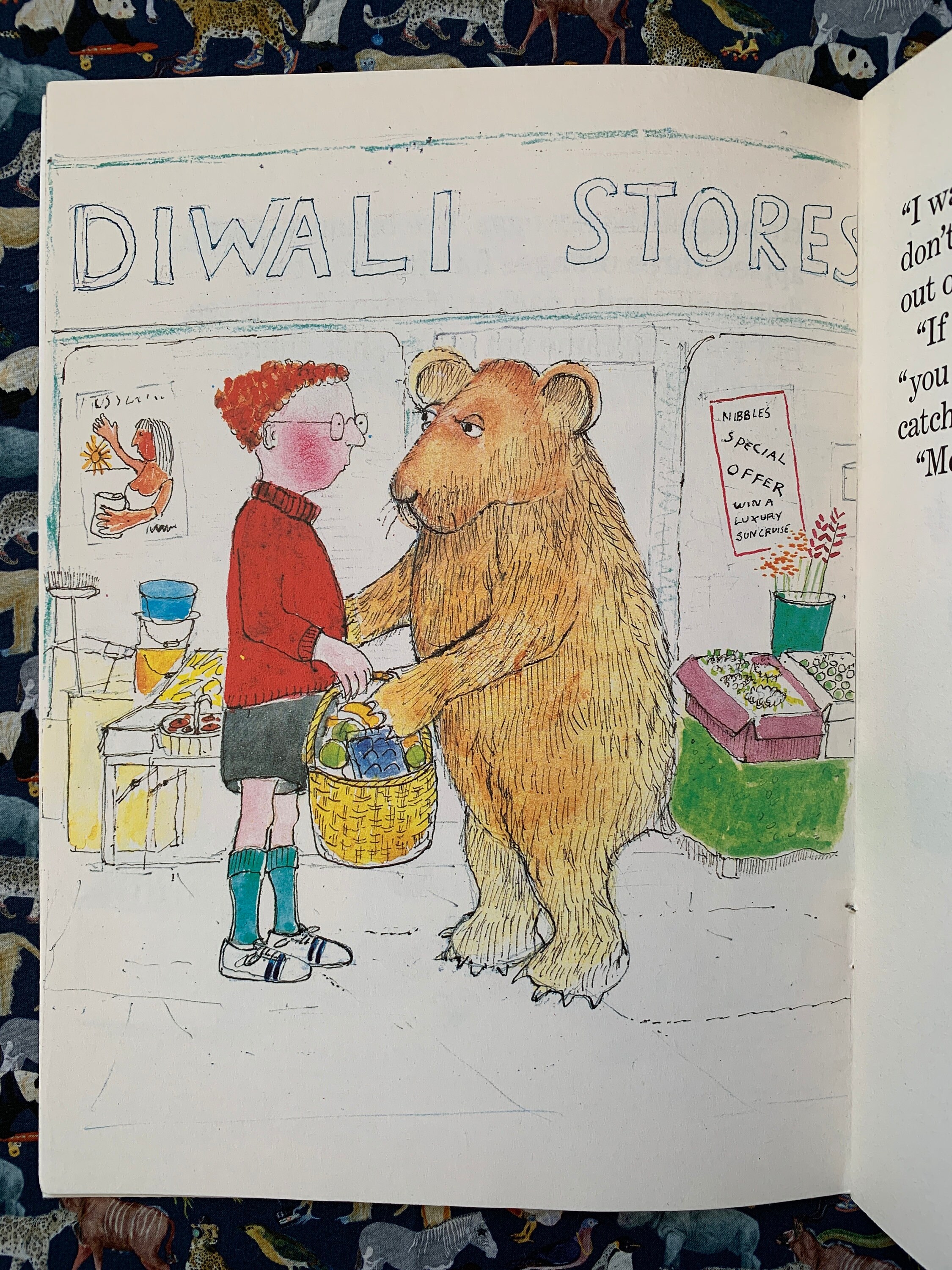 The Shopping Basket by John Burningham - Etsy