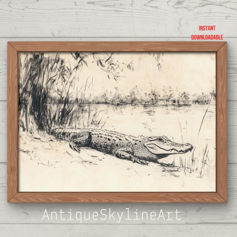 Alligator Pencil Drawing - Etsy
