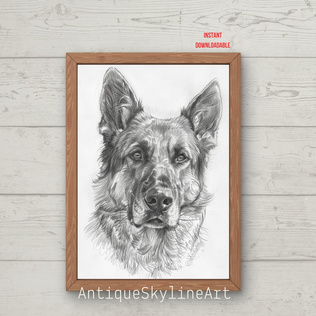 Printable Pencil Drawing of a Dog, Pencil Sketch, Pencil German ...