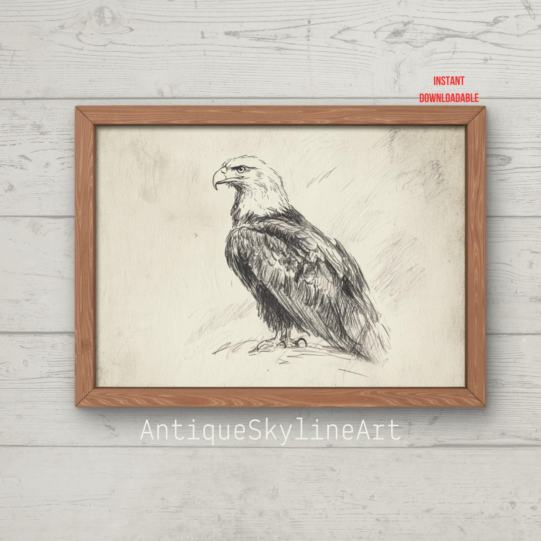 Vintage American Eagle Sketch Art PRINTABLE, Pencil Drawing, Pencil ...