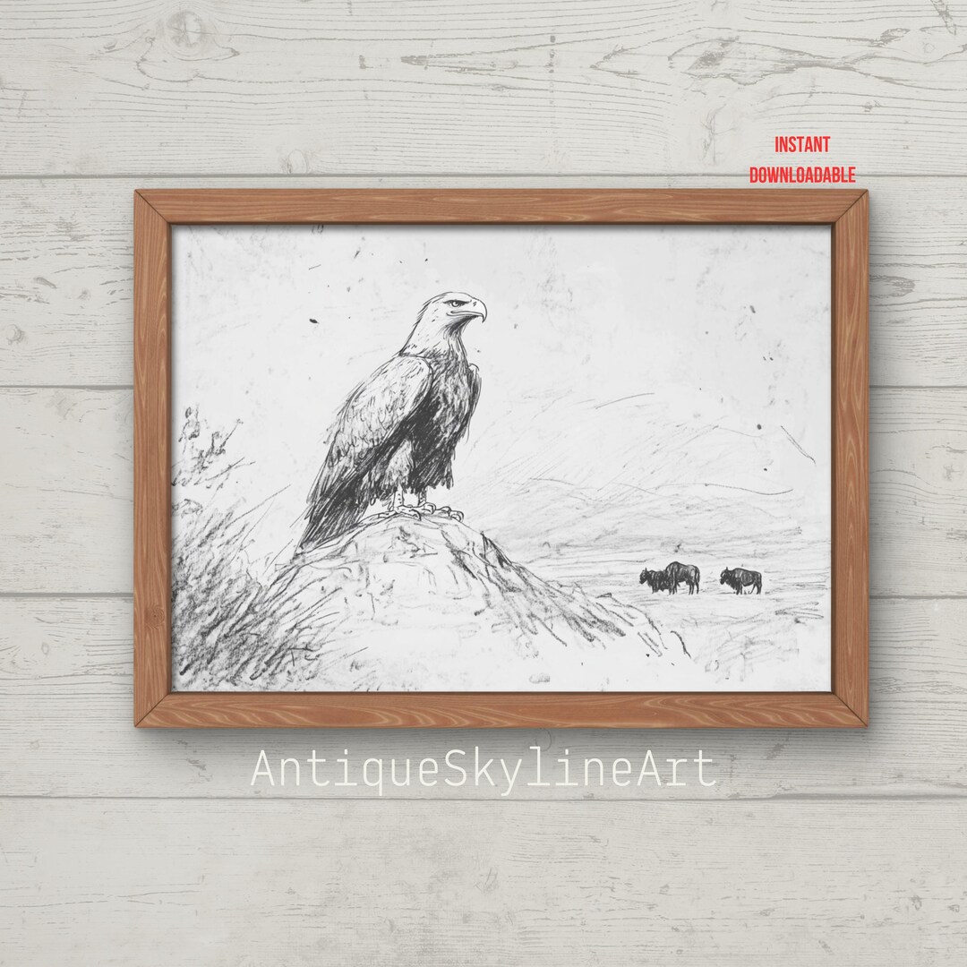 Vintage American Eagle Sketch Art PRINTABLE, Pencil Drawing, Pencil ...