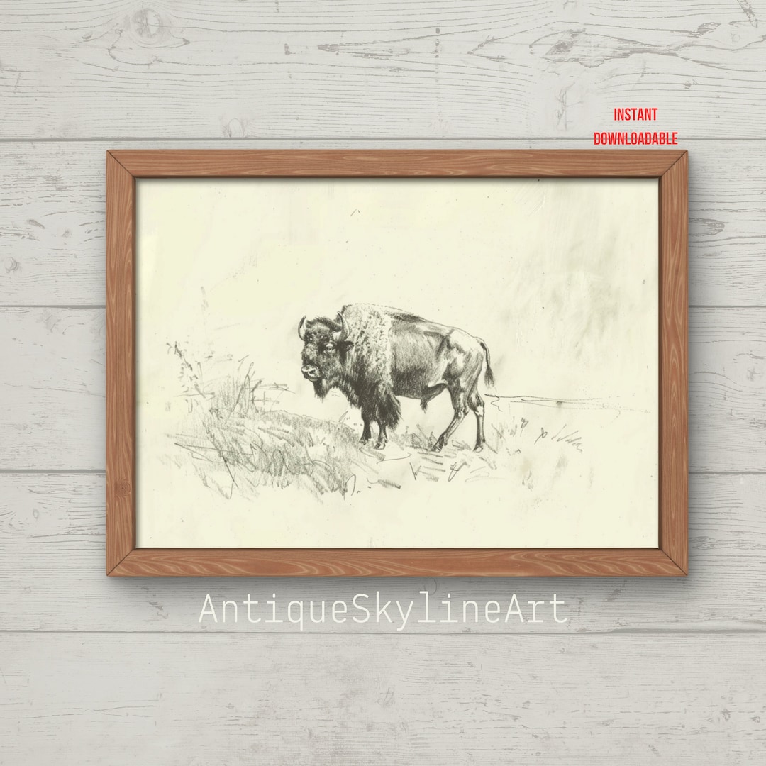 Vintage Buffalo Sketch Art PRINTABLE, Pencil Drawing, Pencil Bison ...