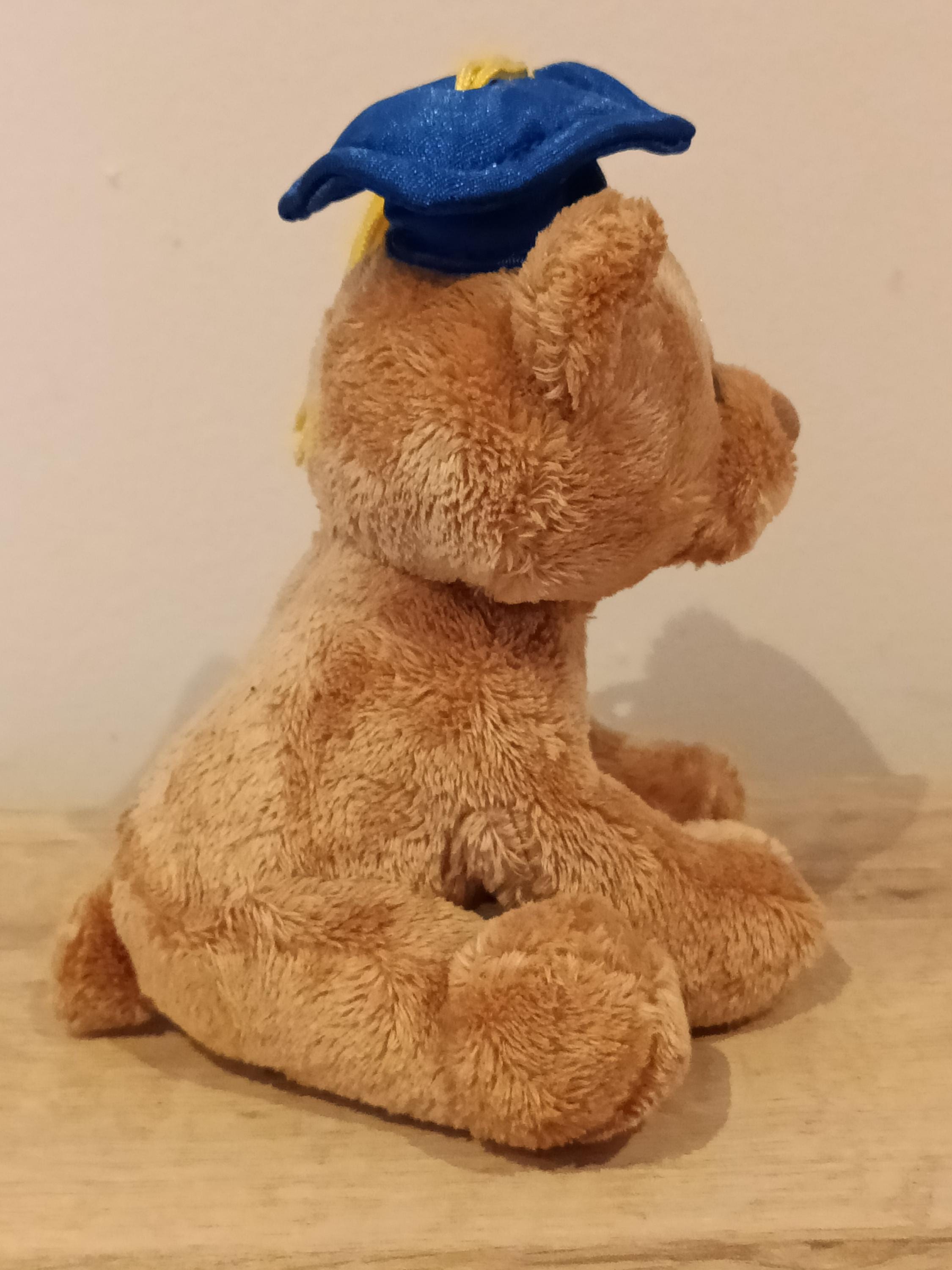 Gund Graduation Bear. Graduation Sound Toy. 5" - Etsy