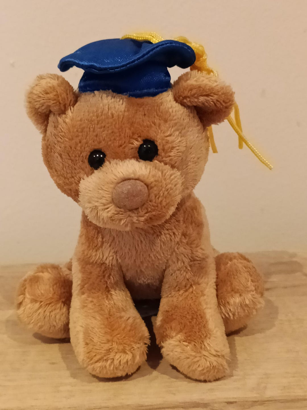Gund Graduation Bear. Graduation Sound Toy. 5" - Etsy