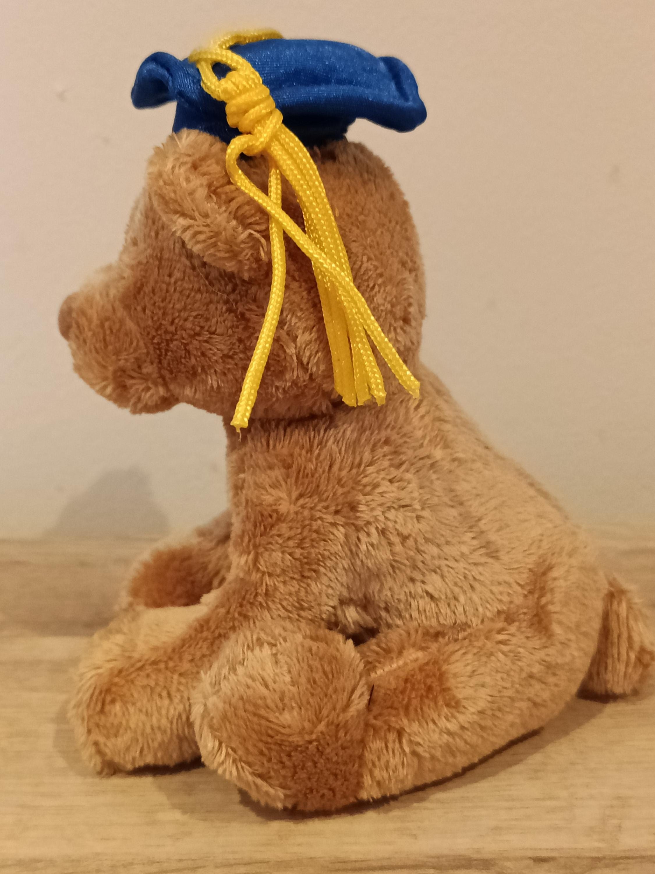 Gund Graduation Bear. Graduation Sound Toy. 5" - Etsy