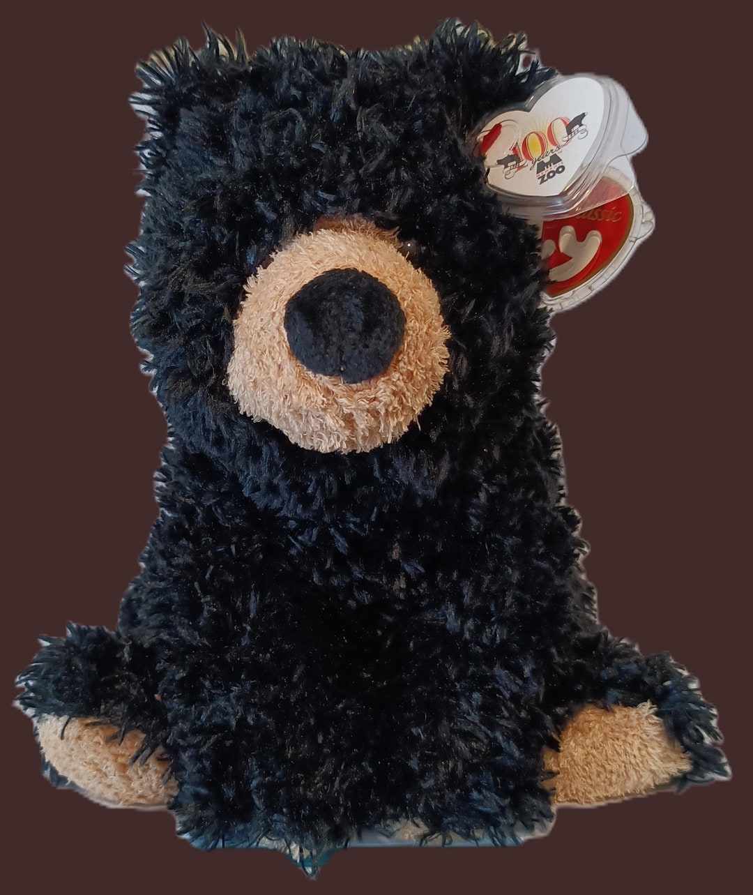 Ty Grizzles the Grizzly Bear. Ty Classic. 100 Years Memphis Zoo - Etsy
