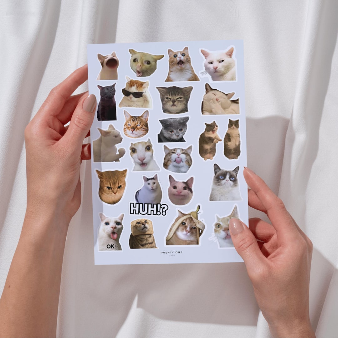 Cute Cat Meme Stickers, Funny Cat Stickers, Notebook Stickers, Laptop ...