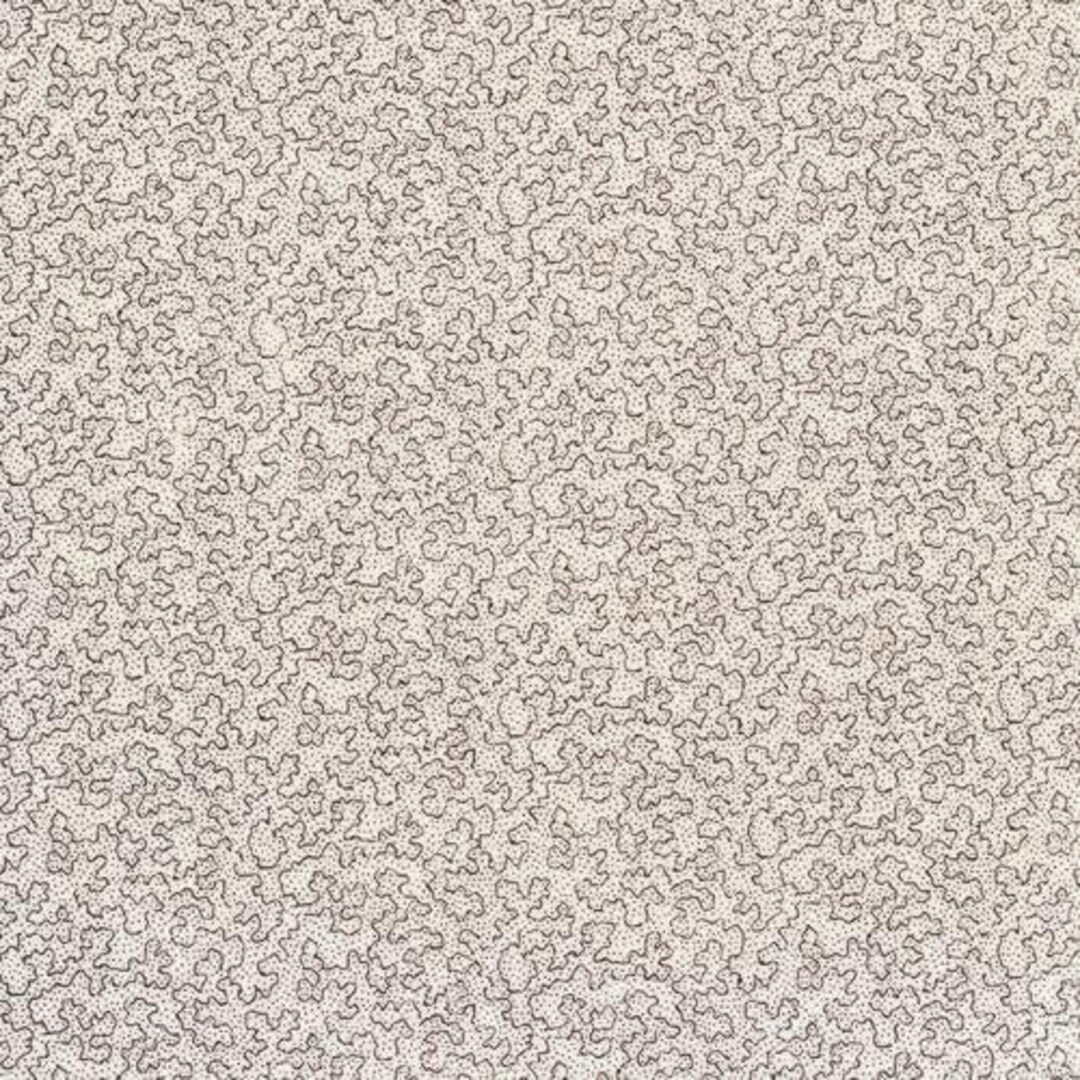 Paintbrush Studio - Coral by the Yard - Etsy