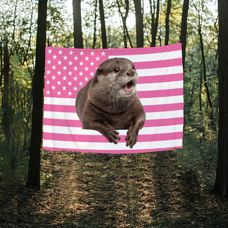 Custom Pink America Flag - Etsy