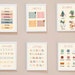 Educational Poster Set for Playroom and Kids and Toddlers, Homeschool ...