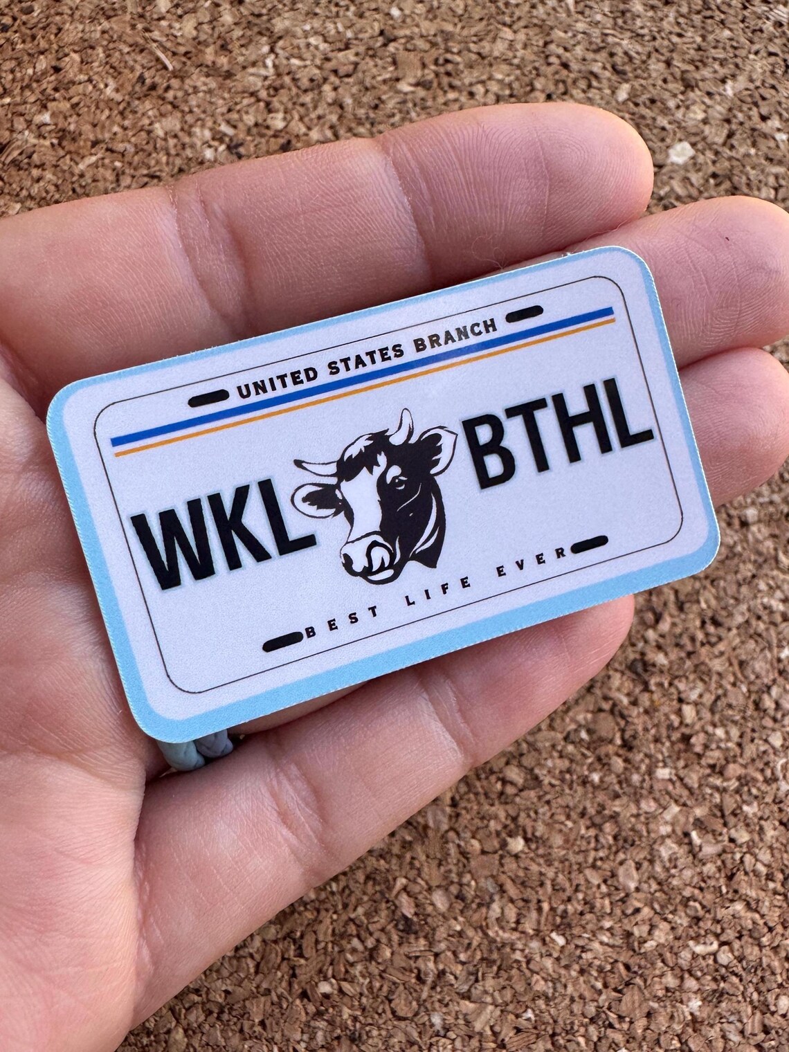 Wallkill Bethel License Plate Gloss Sticker - Etsy