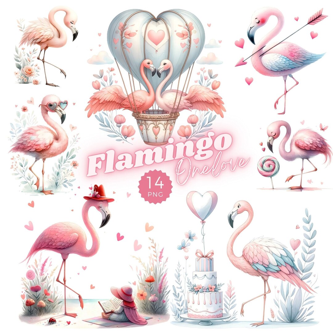 Watercolor Valentines, Flamingo Clipart, 14 PNG Valentines Day ...