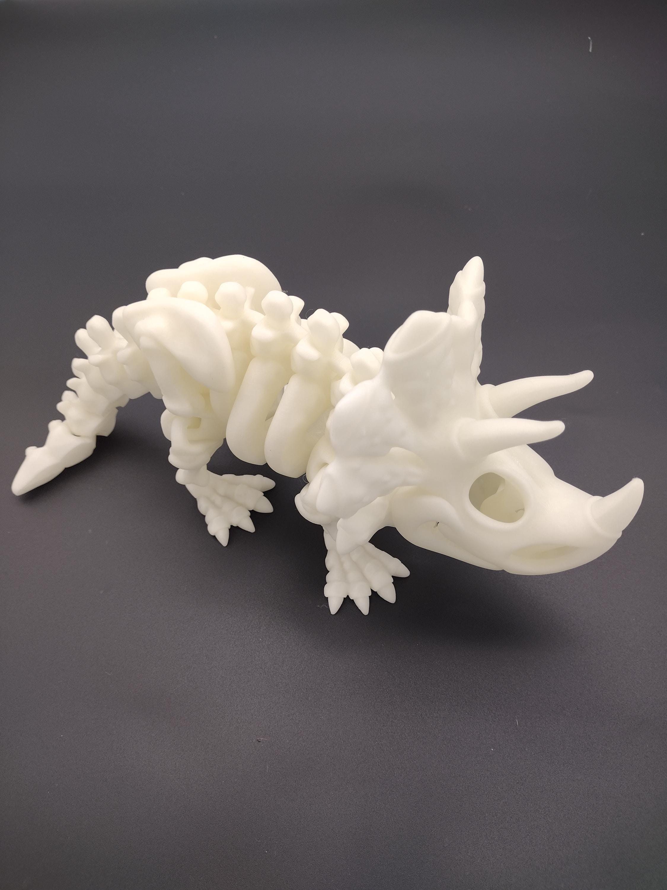 3d Jumbo Triceratops Skeleton Custom Color Print to Order 3d Printed ...