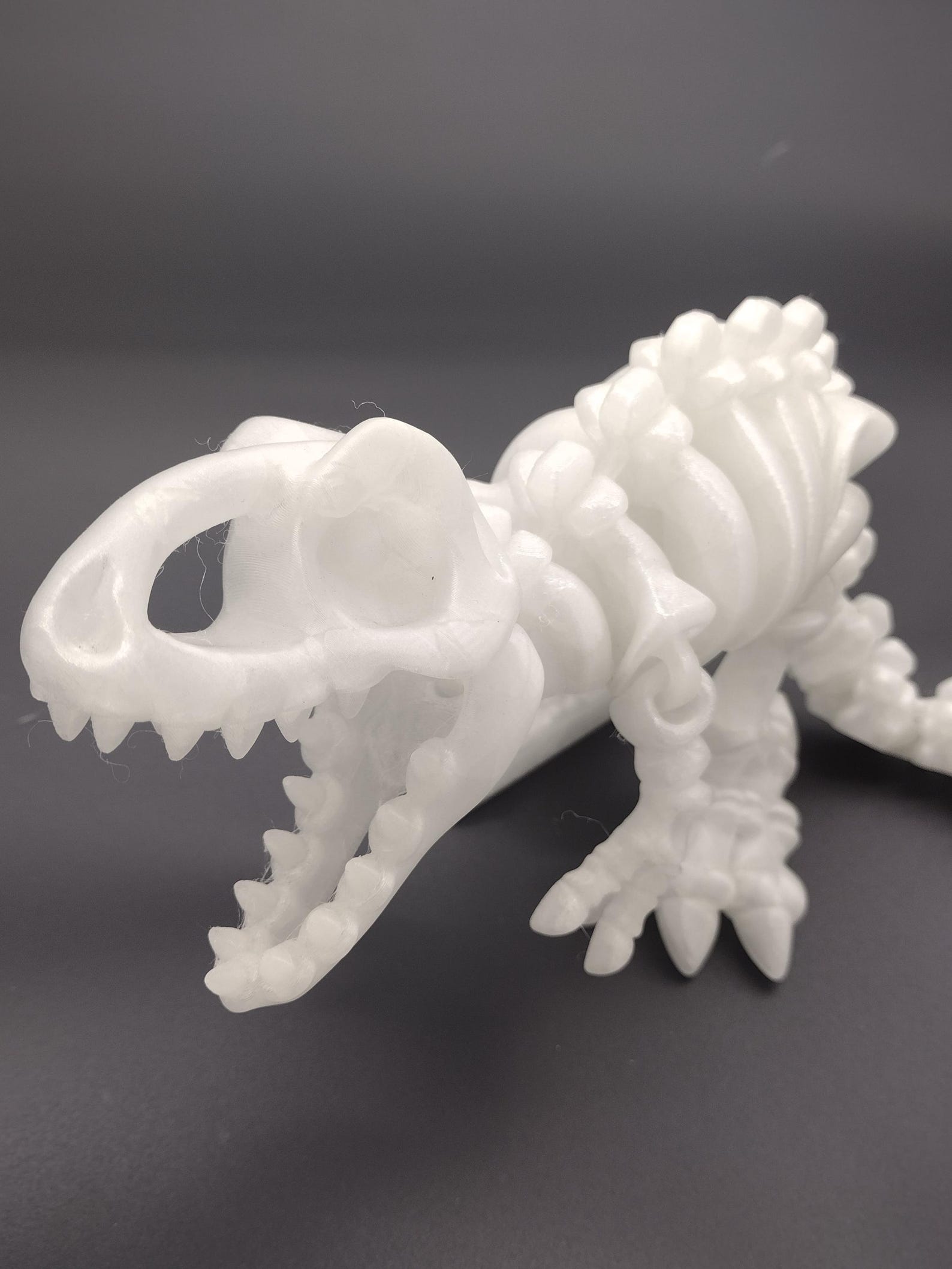 3d Jumbo T Rex Skeleton Custom Color - Print to Order 3d Printed ...