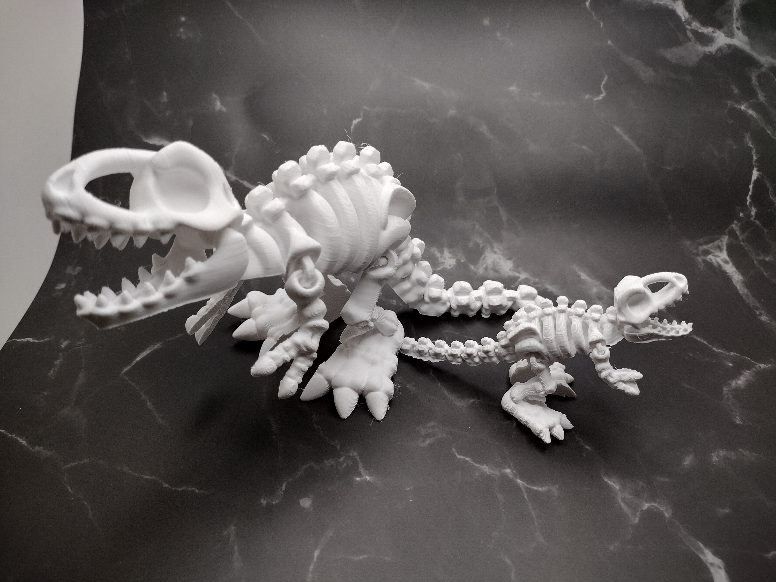3d T-rex Skeleton Custom Color - Print to Order 3d Printed Dinosaur ...