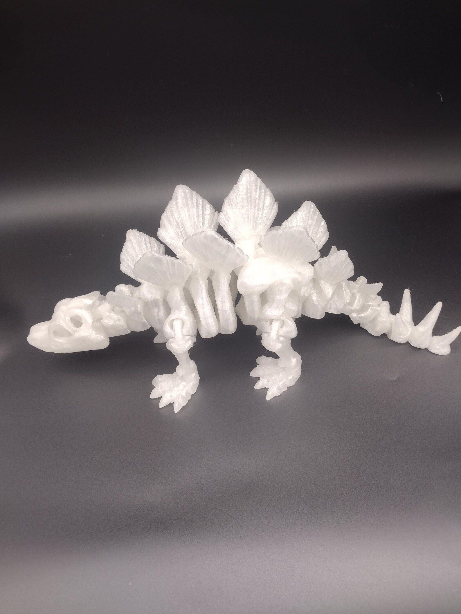 3d Jumbo Stegosaurs Skeleton Custom Color - Print to Order 3d Printed ...
