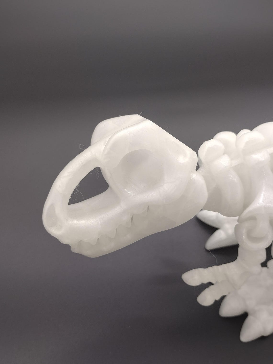 3d Jumbo T Rex Skeleton Custom Color - Print to Order 3d Printed ...