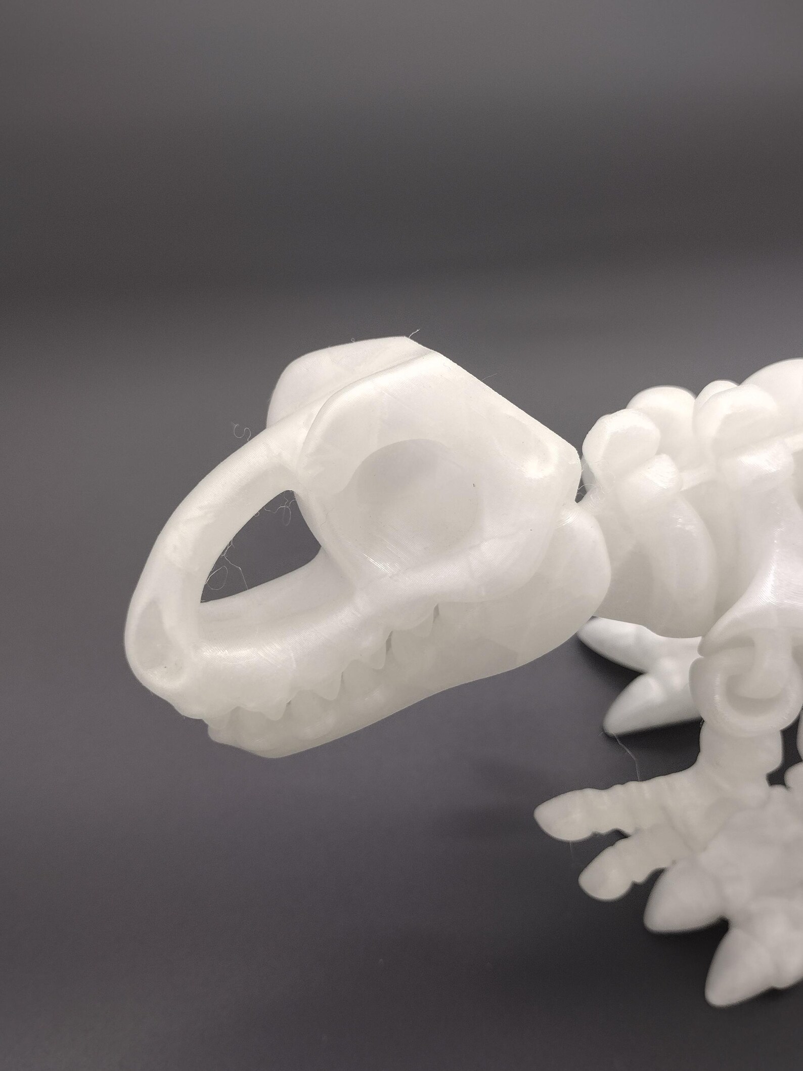 3d Jumbo T Rex Skeleton Custom Color - Print to Order 3d Printed ...