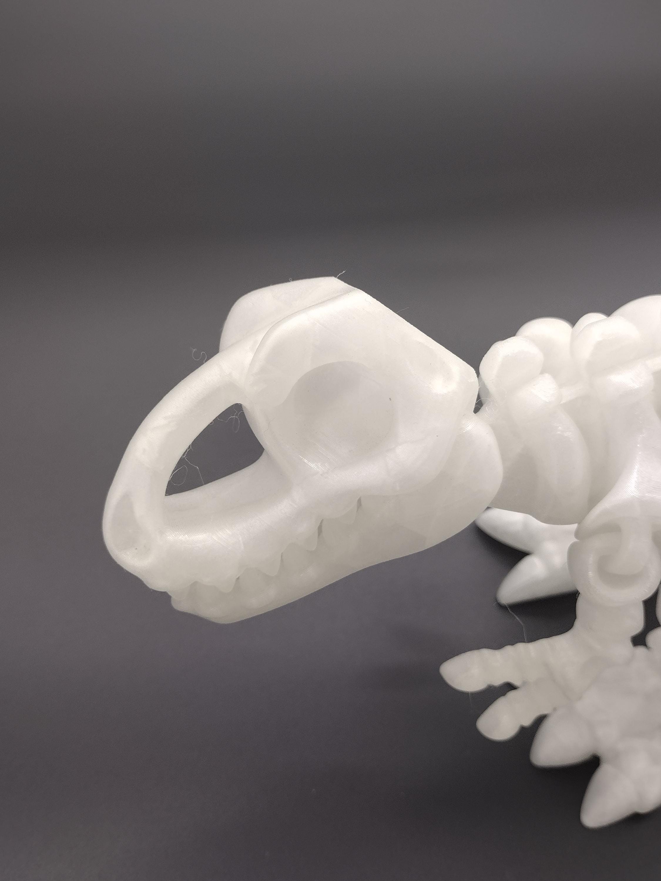 3d Jumbo T Rex Skeleton Custom Color - Print to Order 3d Printed ...