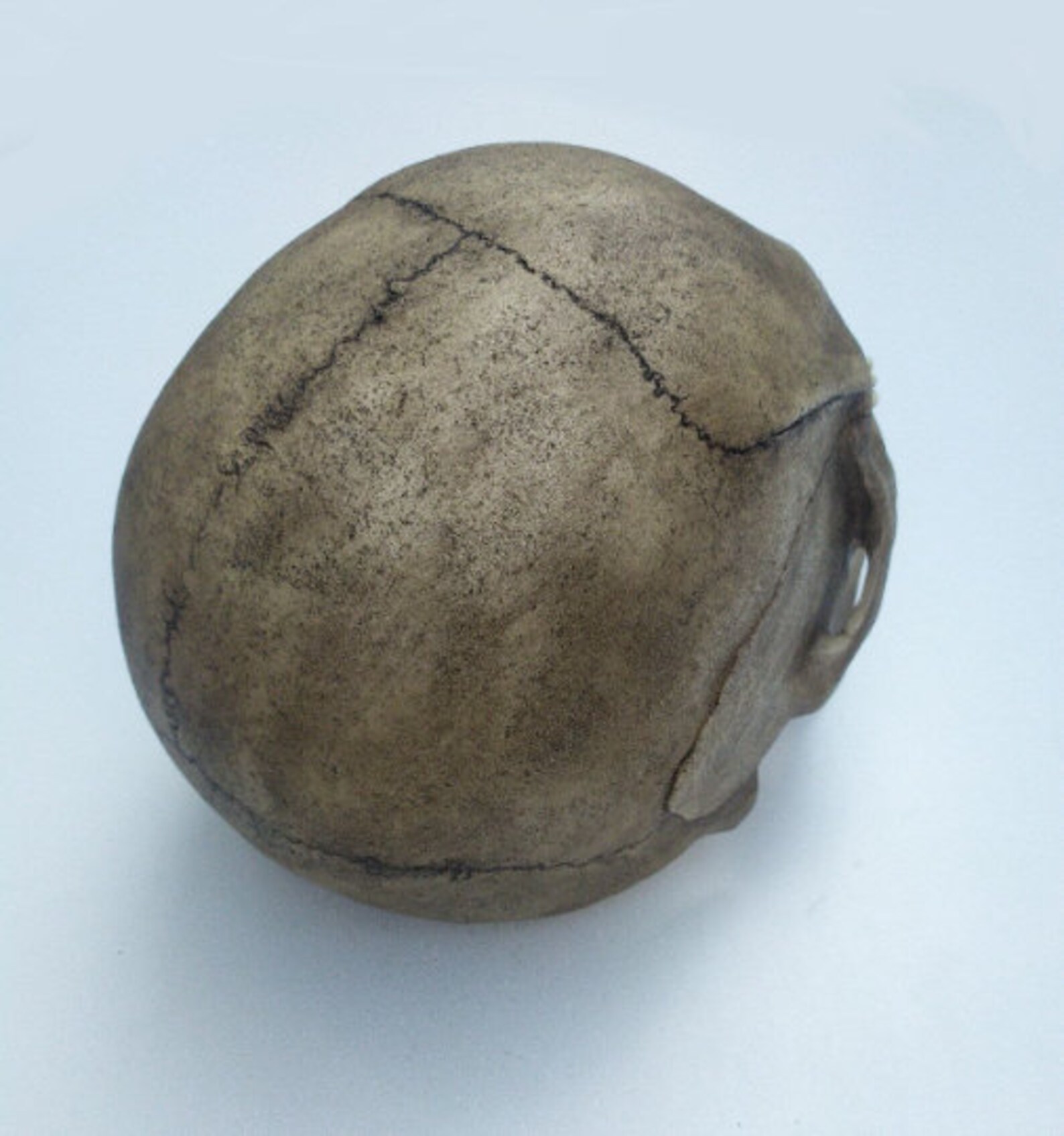 Full Head Skull Mask/helmet With Movable Jaw - Etsy