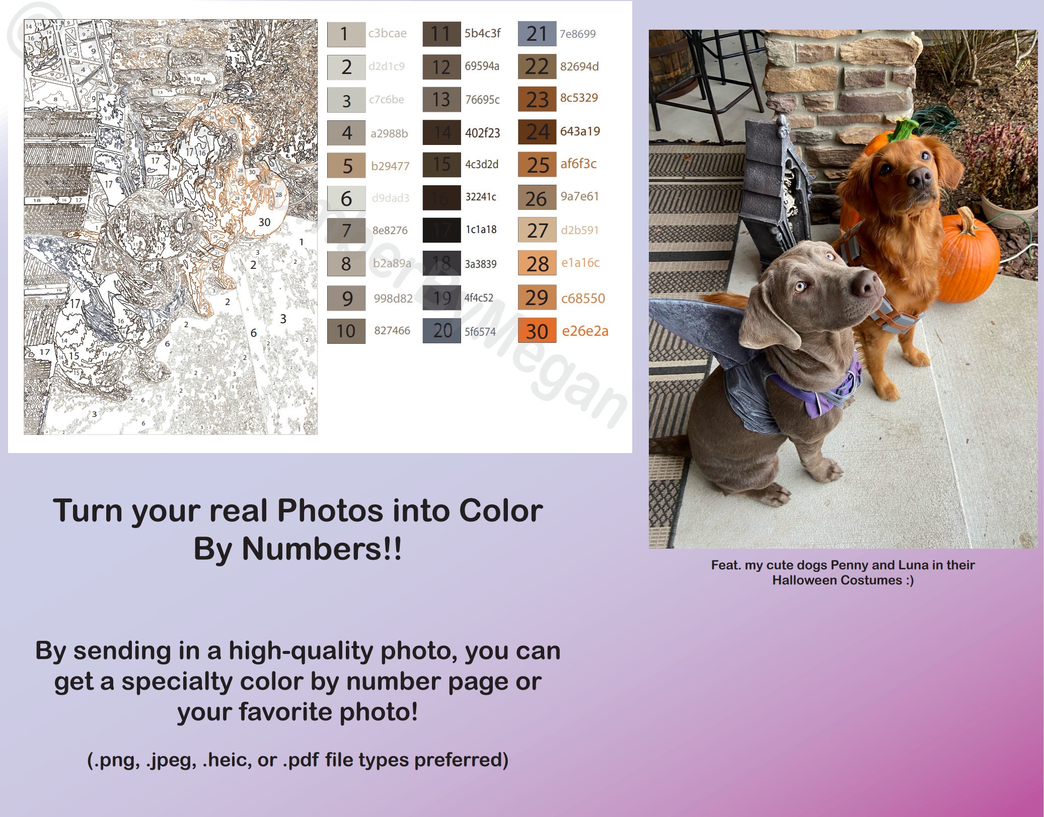 Personalized Color by Number Coloring Pages Based on Your Photos! - Etsy