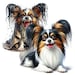 Amazing Papillon, Funny Dogs, for Your Creativity, Can Be Printed on ...