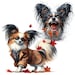 Amazing Papillon, Funny Dogs, for Your Creativity, Can Be Printed on ...