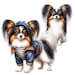 Amazing Papillon, Funny Dogs, for Your Creativity, Can Be Printed on ...