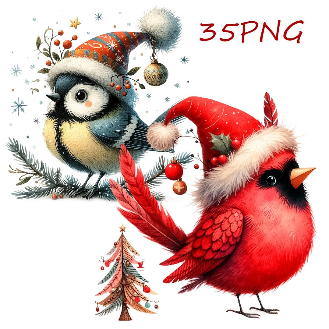 Whimsical Birds PNG, Funny Christmas Birds, Birds PNG, Christmas Png ...
