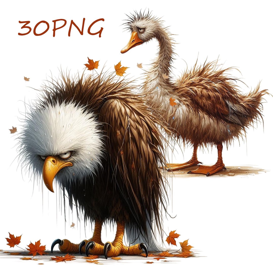 Illustrations of Sad Birds, Cute Birds, Creative Files, Images for Your ...