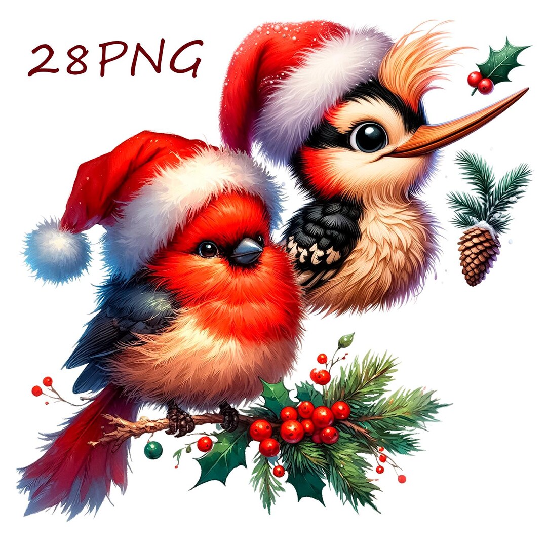 Funny Christmas Birds, Whimsical Birds PNG, Birds PNG, Christmas Png ...