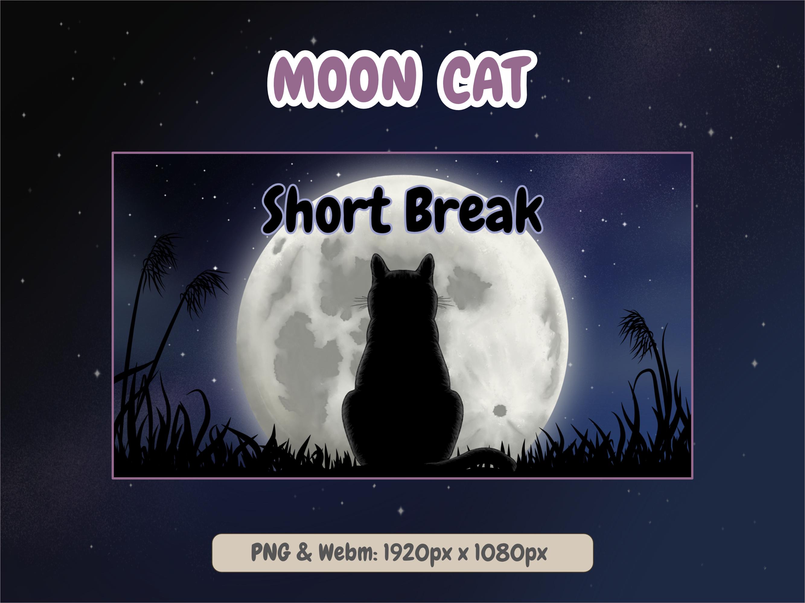Animated Stream Screens - Moon Cat | Celestial & Cozy Stream Design ...
