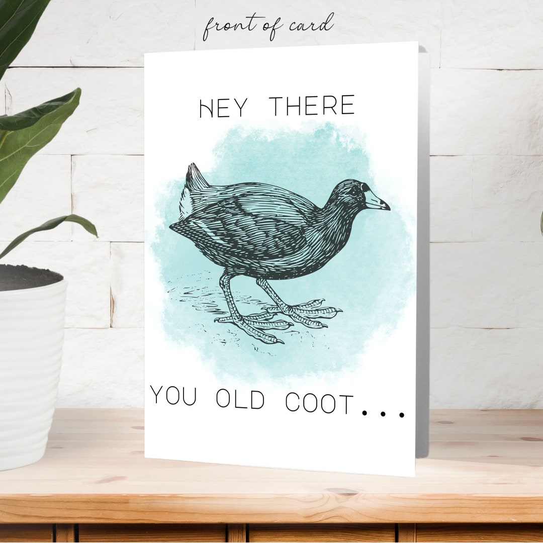 Funny Birthday Card, Birthday Card for Him, Old Coot, Punny Card, by ...