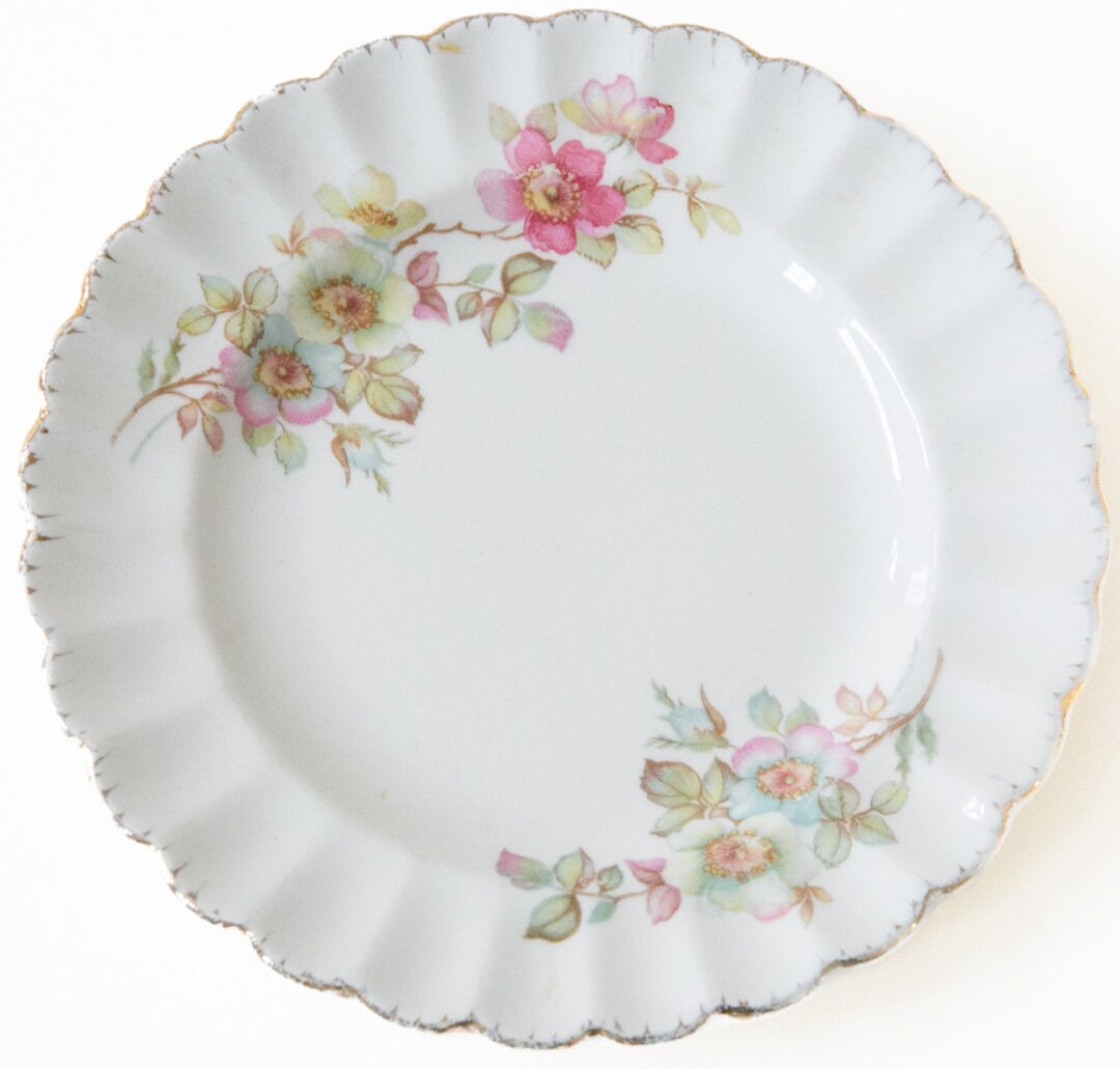 Vintage China Limoges American Bramble Plate 6 Inches Pretty Pink and ...