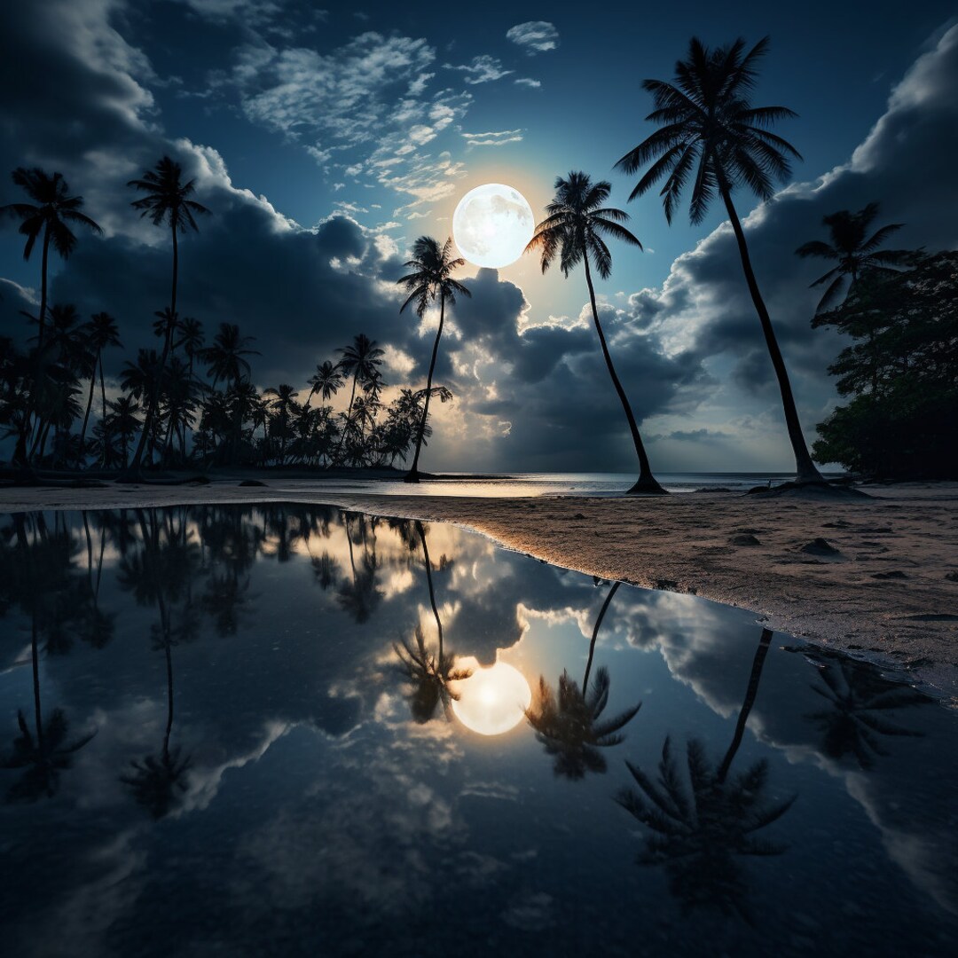 Moon Lit Beach - Etsy