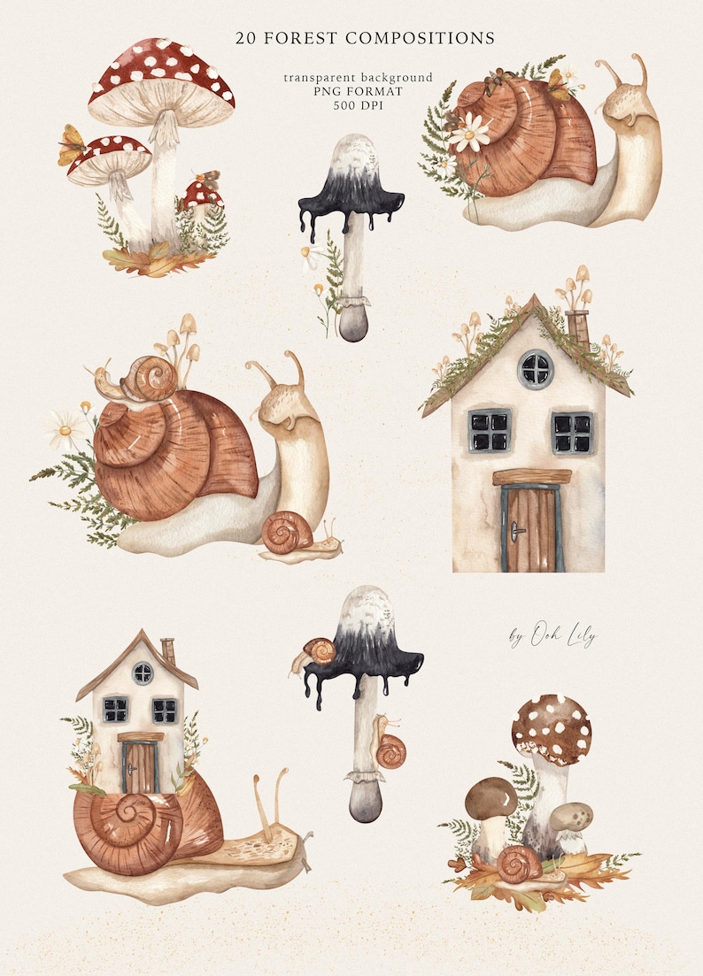 Watercolor Forest Clipart: Magic Snails, Mushrooms, Ferns (PNG) - Etsy