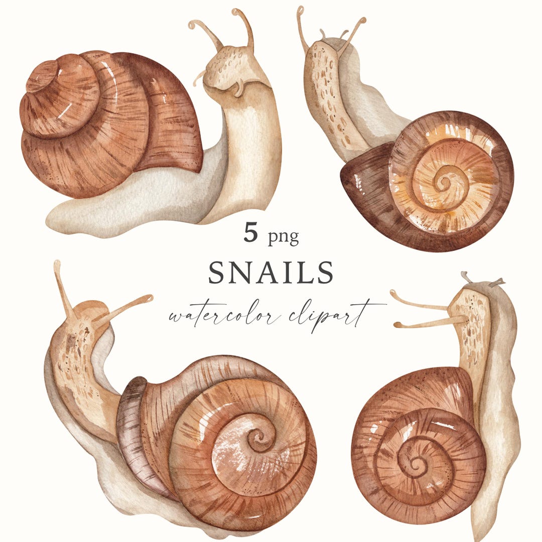 Watercolor Snail Clipart, Cute Snails PNG, Gardening Snail, Autumn ...